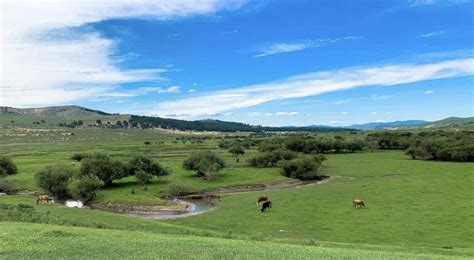 БАЙГАЛИЙН ЗУРАГ