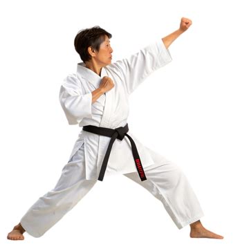 Martial Arts Mastery Black Belt In Action Martial Arts Mastery Action