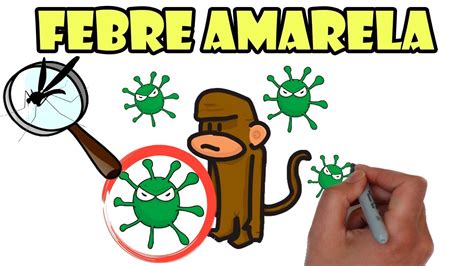 O Que Você Precisa Saber Sobre Febre Amarela Youtube