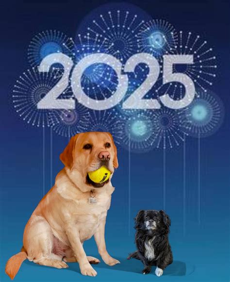 We Are Excited To Roll Into Pawformance Grooming Salon