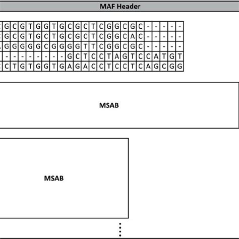 A Basic Description Of A Maf File Each Multiple Sequence Alignment