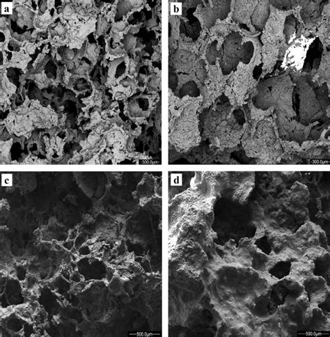 Sem Images A And B Baghdadite Scaffolds 20 And 40wt And C And D Download Scientific