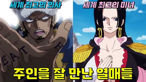 원피스 악마의 열매 총 정리 [2] Youtube