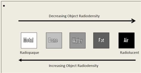 Chest Radiology Flashcards Quizlet Chest Radiology Flashcards Quizlet