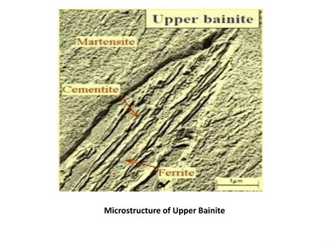 Microstructure Of Low Medium And High Carbon Steelspptx Geology