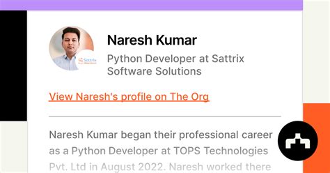 Naresh Kumar Python Developer At Sattrix Software Solutions The Org