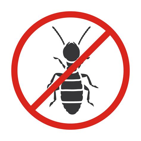 Termites Treatment Near Me Get Rid Of Them With Deemak Treatment