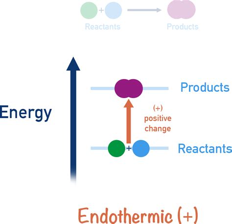Endothermic Reaction Negative Heat At William Deas Blog
