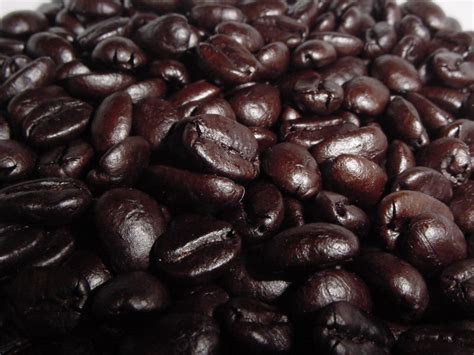 Java Coffee Products Australia Java Coffee Supplier