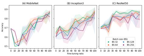 Rapid Convolutional Neural Networks For Gram Stained Image Classification At Inference Time On