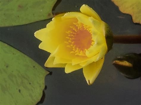 발달장애 심리치료 정서적 및 행동적 문제 해결을 위한 지원