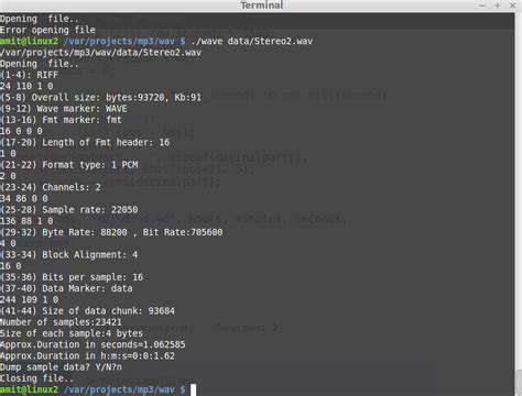 Parsing A Wav File In C
