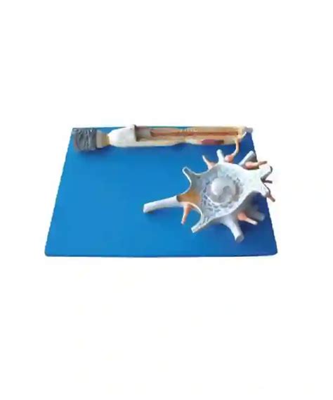 Neuron Model Teachingnest