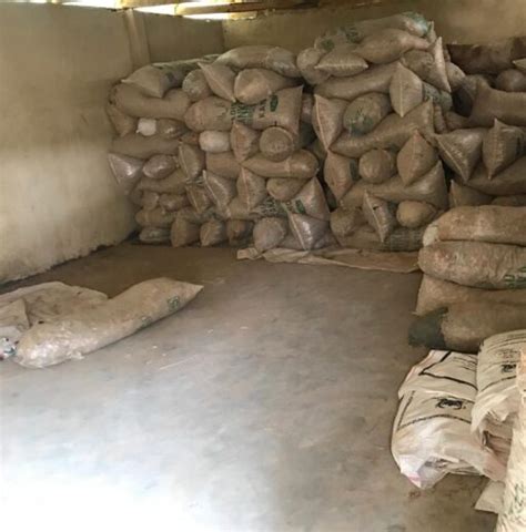 Dried Split Ginger Exporters In Nigeria Ginger Suppliers Ginger Powder