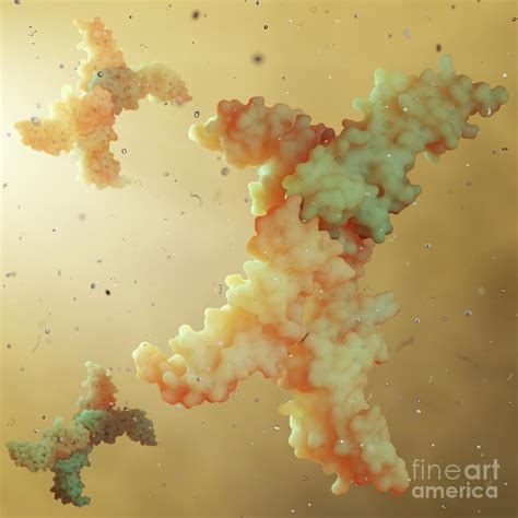 Fragile X Gene Photograph By Biolution Gmbh Science Photo Library Fine Art America