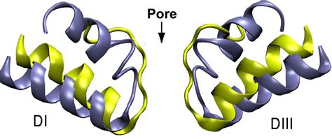 Comparison Of The Pore Domains Of Kv1 2 Yellow And Navab Blue
