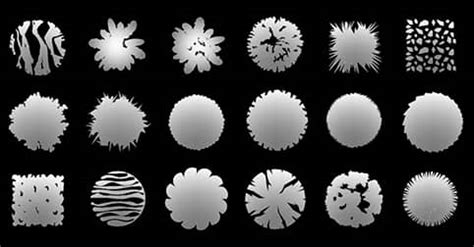 Bushes Elevation CAD Blocks Free Dwg CADBlocksDWG
