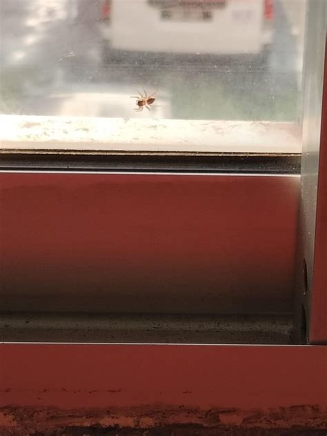 Gerbo Decides To Visit Me Rbugboandfriends