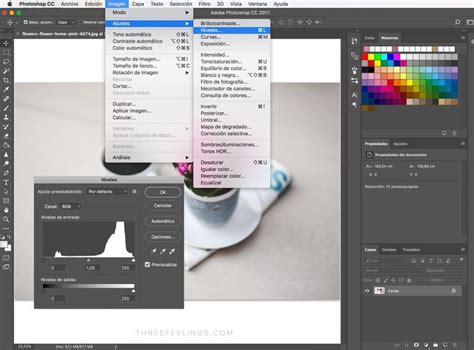 Retoca Tus Imágenes En Photoshop Como Un Profesional
