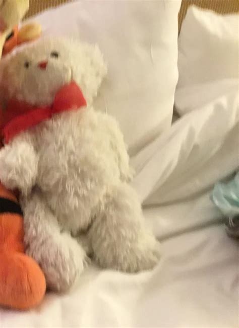 Daughters Favorite Stuffy Rhelpmefind