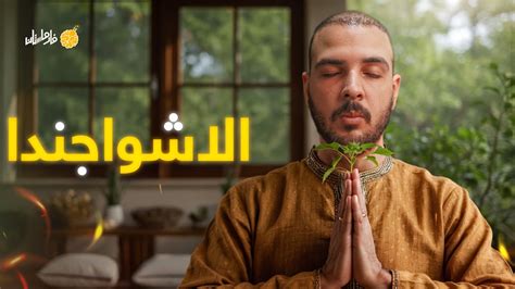 فارماستان اشواجندا Youtube