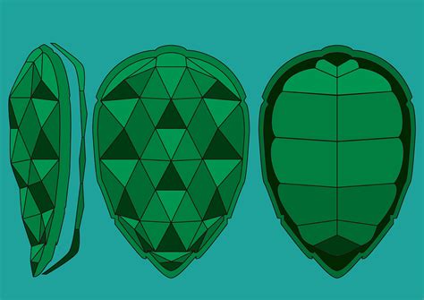 Turtle Shell Texture Drawing Bloody Scythe Ma