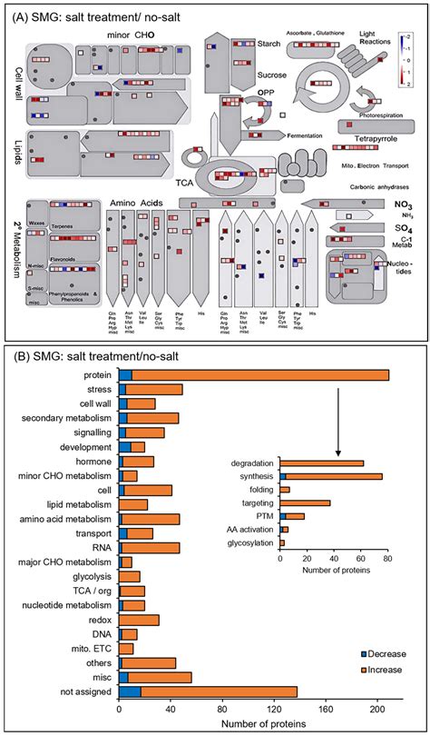 The Growth Of Soybean Glycine Max Under Salt Stress Is Modulated In