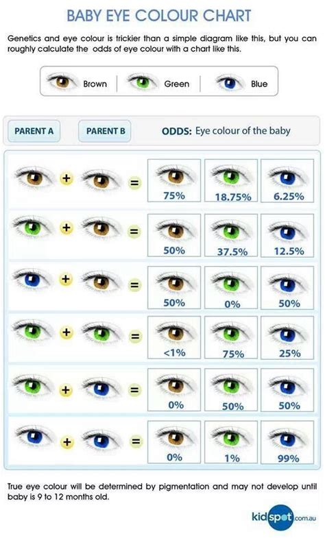 Augen farbe, Augenfarbe, Augenfarbe tabelle