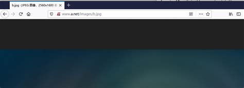 nginx 访问页面不存在显示默认页面 Alex Lzy 博客园