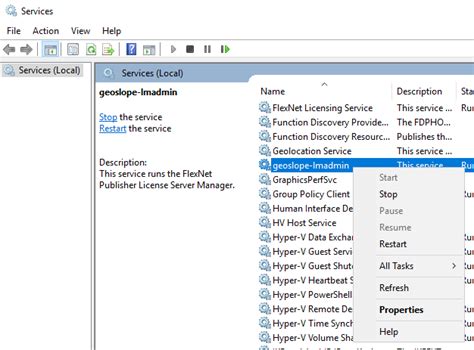 Problem License Manager Stops Working Unexpectedly GeoStudio Support