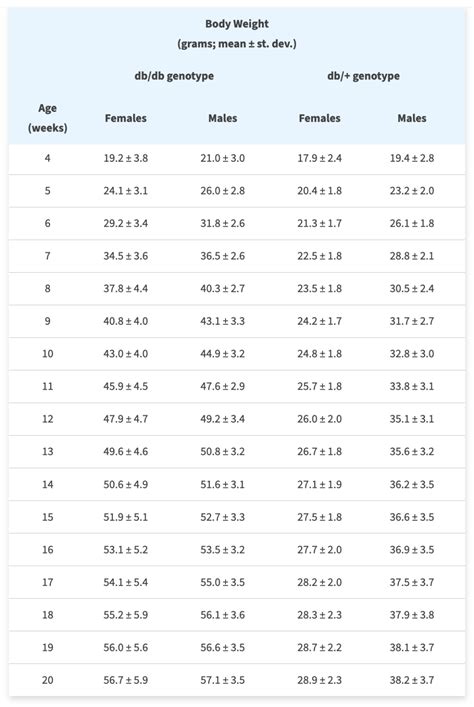 Dbdb小鼠肥胖和糖尿病模型