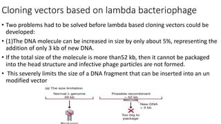 Lambda Cloning Vector PPTX