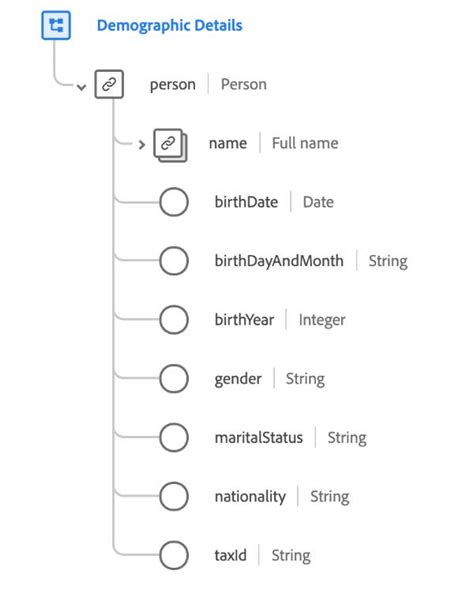 demographic details schema field group adobe experience platform