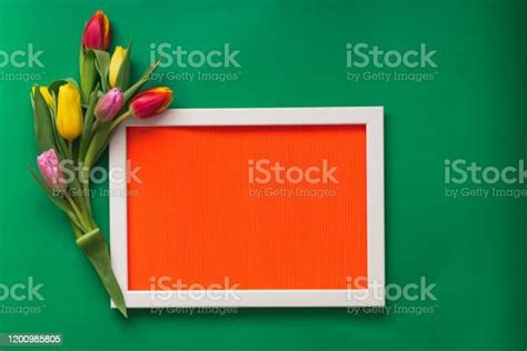 구겨진 종이 녹색 배경의 빨간 패턴 질감에 아름다운 튤립 꽃과 흰색 사진 프레임 봄과 부활절 프레임 개념입니다 플랫 레이 빈 공간 0명에 대한 스톡 사진 및 기타 이미지