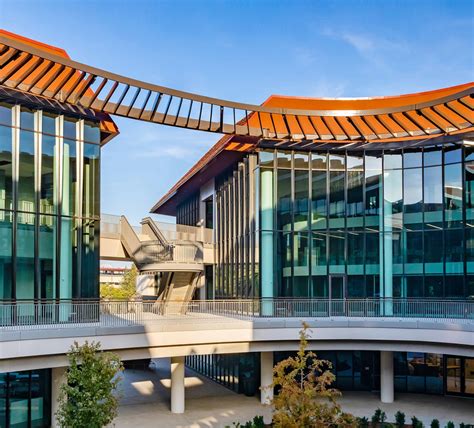 Ten Years Of Stanfords Wu Tsai Neurosciences Institute Knight Initiative