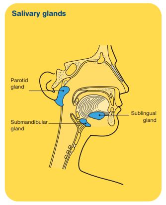 Adenoid Cystic Carcinoma Check What Is Acc Symptoms Diagnosis