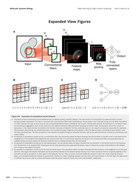 PDF Automated Analysis Of Highcontent Microscopy Data With Deep Learning