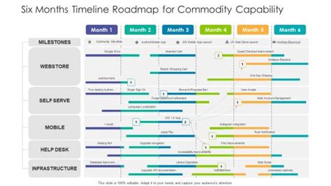 six month project timeline slide for standardization statistics