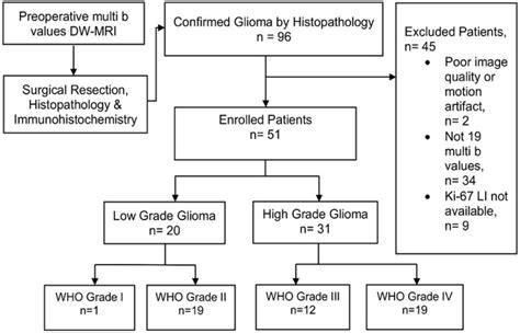Monoexponential Biexponential And Stretched Exponential Models Of
