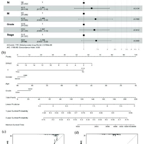 Visualization Of Multivariate Cox Regression Analyses And Prognostic