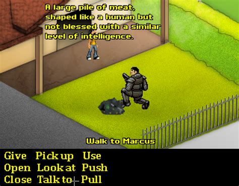 Screenshot Of Hey Ash Watcha Playin The Adventure Game Browser