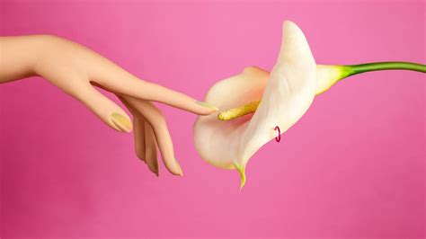 Can You Correctly Answer These Questions About Sex HowStuffWorks