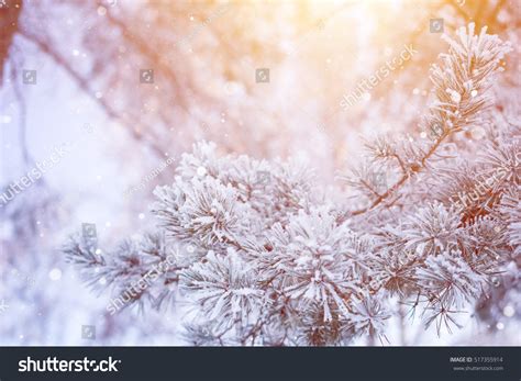 눈 8841843개가 넘는 로열티 프리 라이선스 대상 스톡 사진 Shutterstock