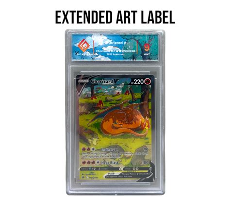 Error Grading Bonfire Grading