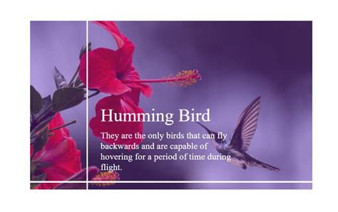 Text Over Image On Hover Using Html And Css By Cwrcode Medium