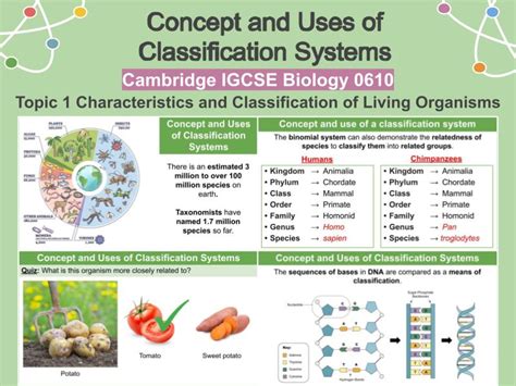 Concept And Uses Of Classification Systems Binomial System Comparing