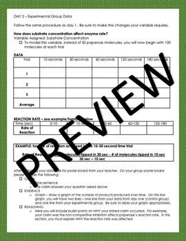 Enzyme Lab Activity Simulation By Science With Ms Katie TPT