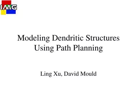 PPT Modeling Dendritic Structures Using Path Planning PowerPoint Presentation ID