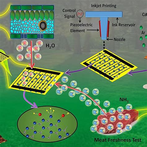 Schematic Illustration Of Fabrication Process Of Humidity Sensor Download Scientific Diagram