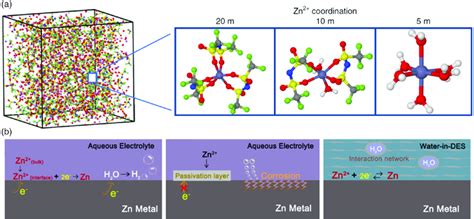 A Sem Of Zn Deposition In Znso 4 Based Electrolytes With Additives Of Download Scientific
